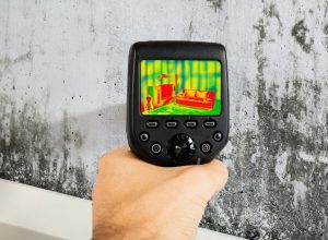 Professional Mold Inspections in Toronto - Ultimate Mold Crew