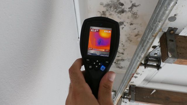 Mold Removal, Remediation & Testing Company Toronto - UMC