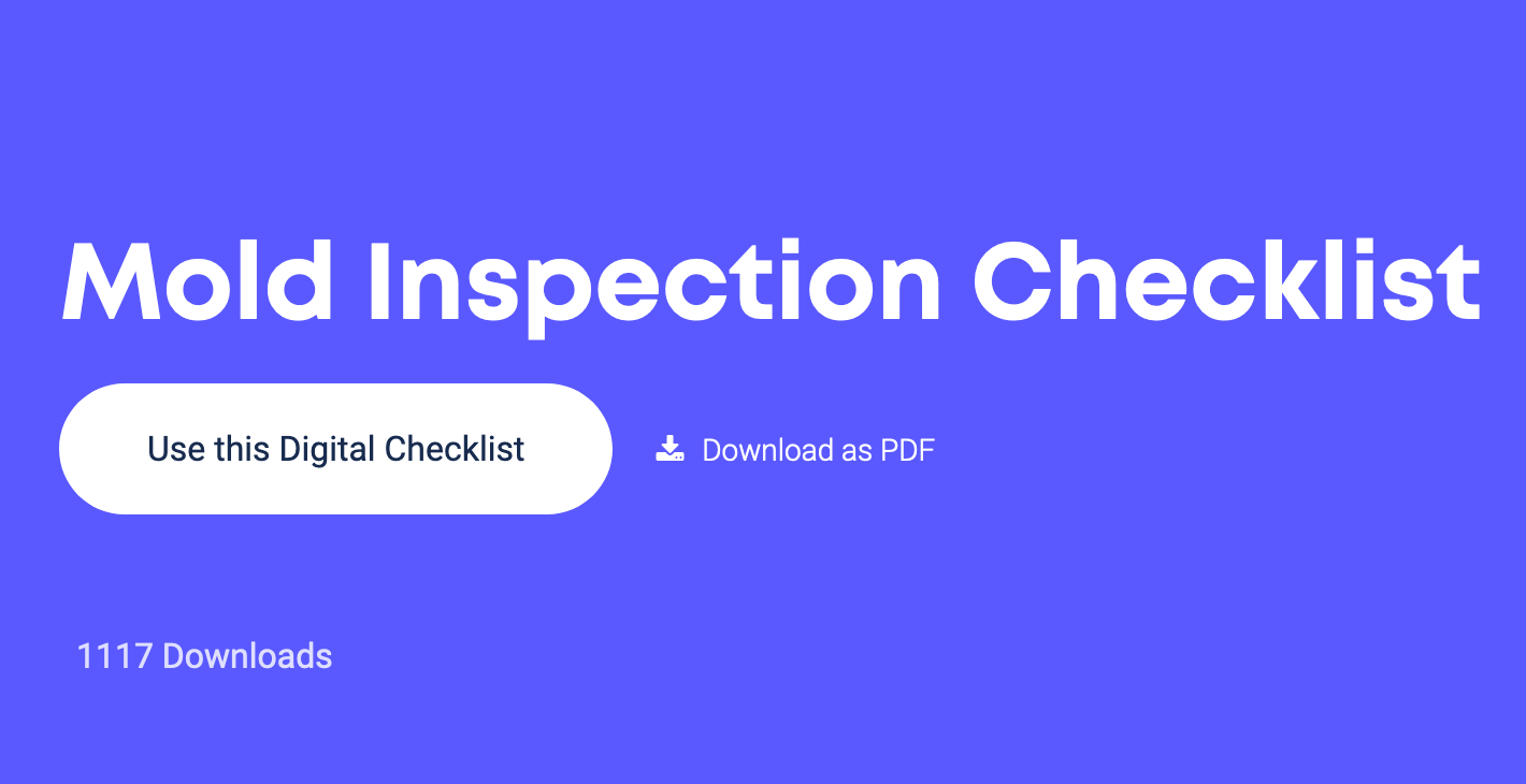 Mold Inspection & Testing Guide For Home Owners [2025]