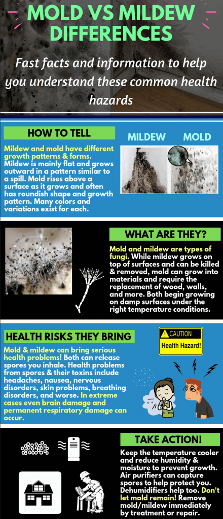 What Is The Difference Between Mold and Mildew?