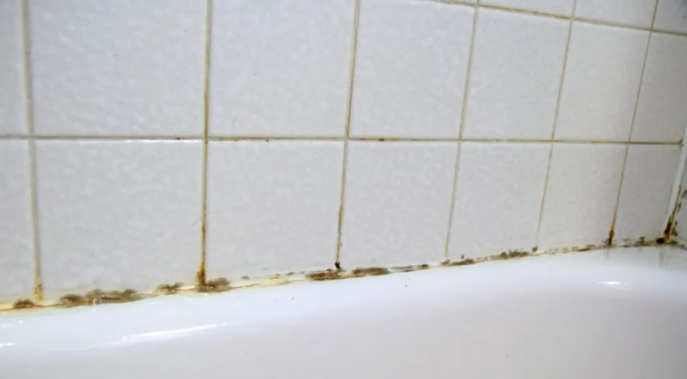 How To Clean Off Black Mold From Shower Caulk, Grout & Tiles