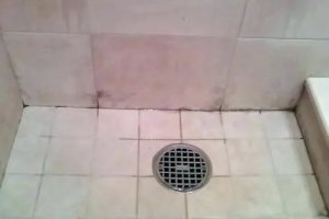 Pink Mold In Shower - Dangers, Causes & Removal [GUIDE]
