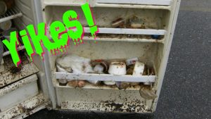 Mold in Refrigerator - Dangers, Prevention & Removal [GUIDE]