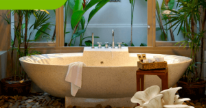 Mushroom Growing in Bathroom - How to Identify & Remove it?