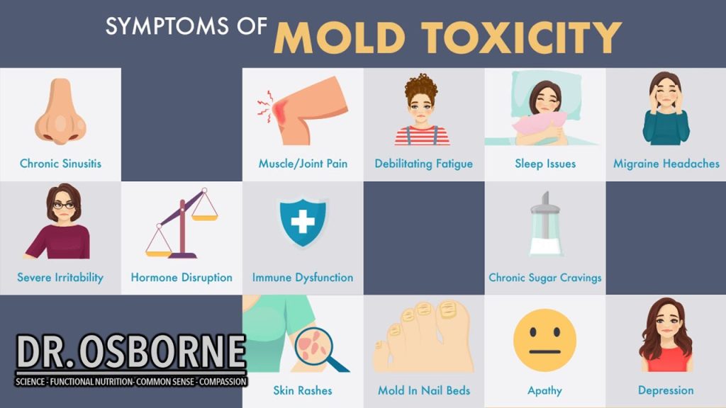 Mold Toxicity - Warning Signs, Symptoms & FAQs [GUIDE]