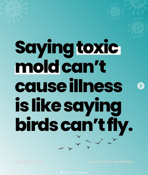 Mold Toxicity - Warning Signs, Symptoms & FAQs [GUIDE]