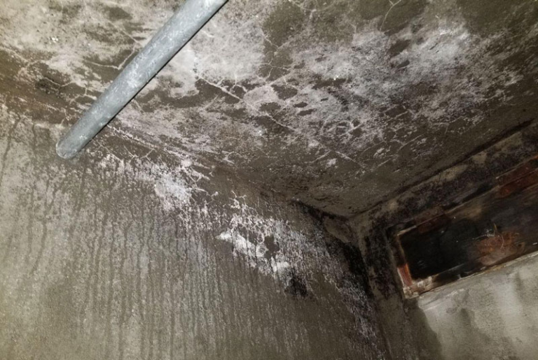 Mold On Concrete Floor, Walls: Causes, Removal & Prevention