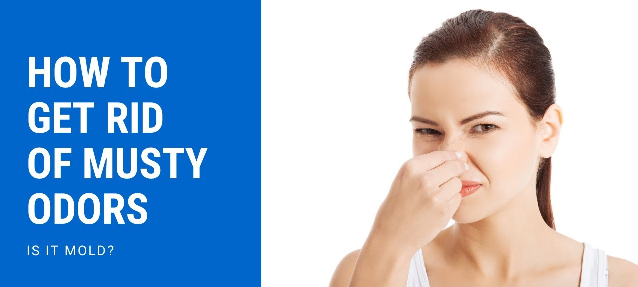Musty Odors at Home: Causes, Removal & Prevention [GUIDE]