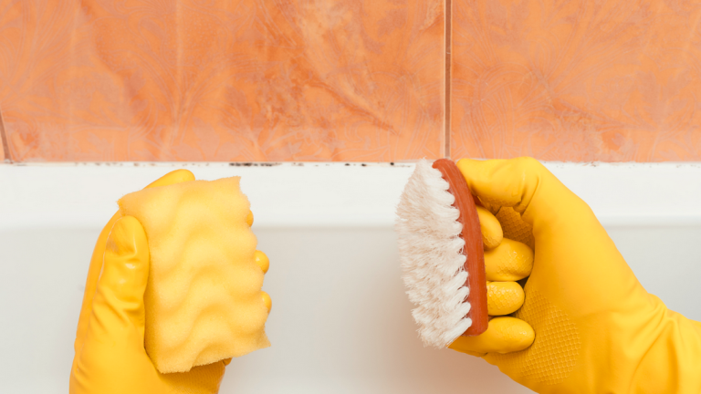 How To Remove Mold & Mildew Stains With Borax?