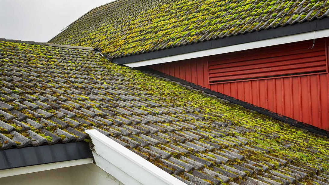 How to Safely Remove Mold & Moss From Roof Shingles?