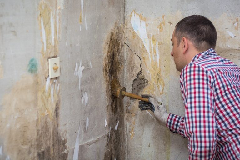 How To Kill Mold With Hydrogen Peroxide? Step-by-Step Guide
